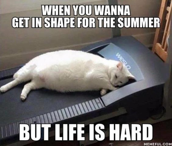 5 Tips to Stay Healthy This Summer – hello.strength.